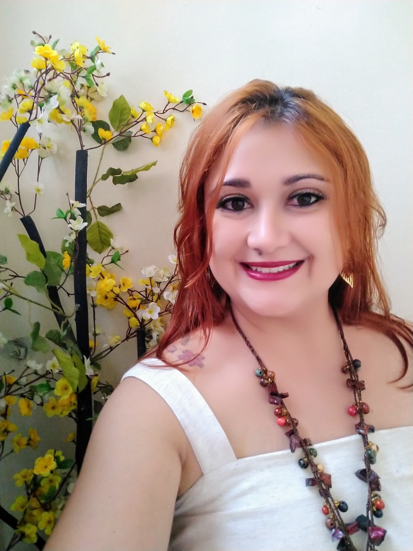 Corpo Docente – Mestrado Profissional em Educacao Inclusiva – PROFEI